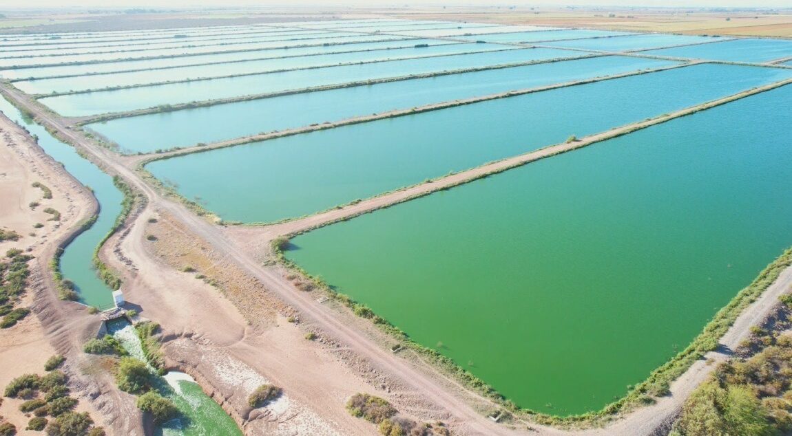 Transition Industries and Veolia Partner to Redefine Industrial Water ...